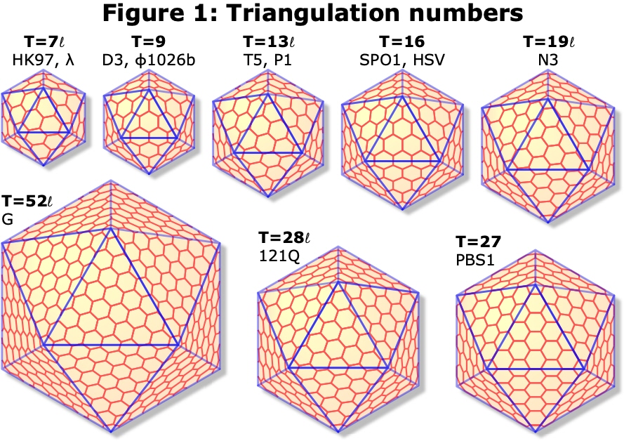 Research – Conway Lab